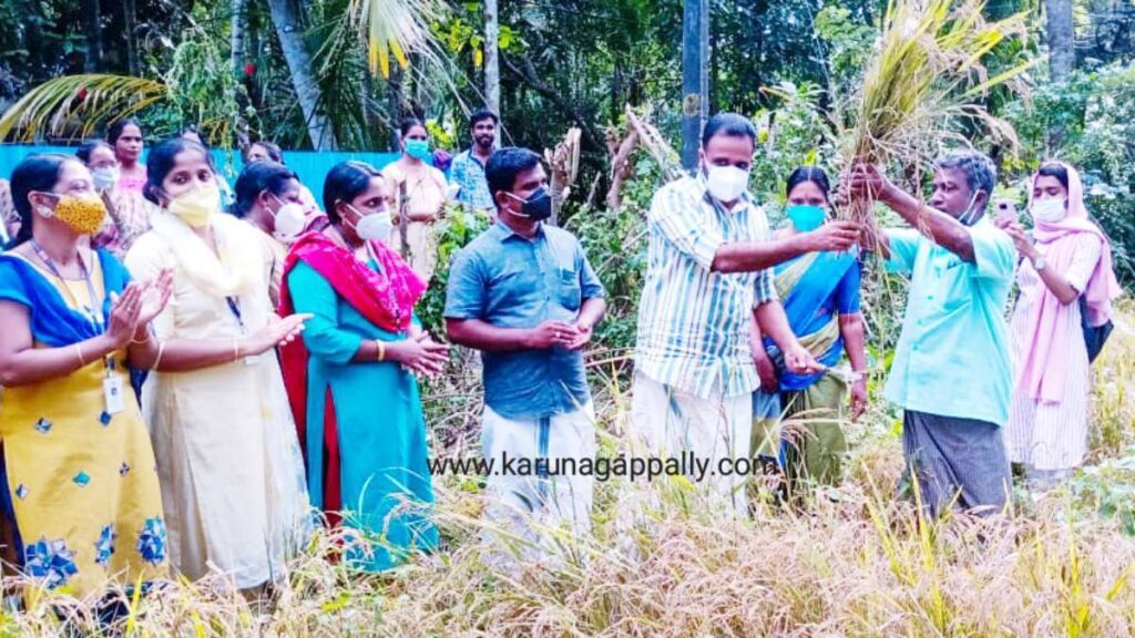 ആലപ്പാട് ഗ്രാമ പഞ്ചായത്ത് ചരിത്രപരമായ നേട്ടം…. കൊയ്തുകൊണ്ട് മുന്നോട്ട് ...